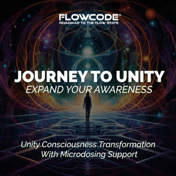 Life Academy - How To Achieve Flow State - FlowCode